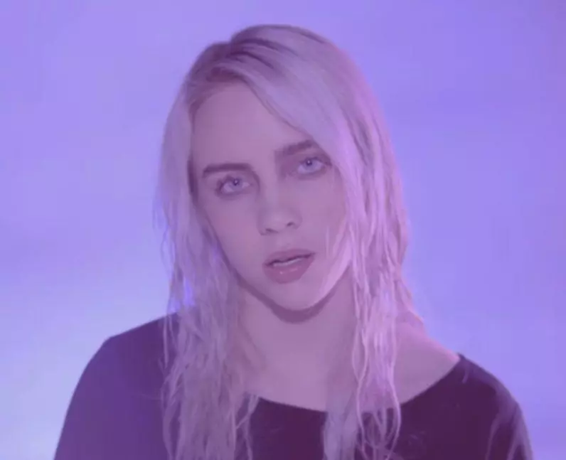 20 overraskende fakta om Billie Eilish og broren hennes 1043_17