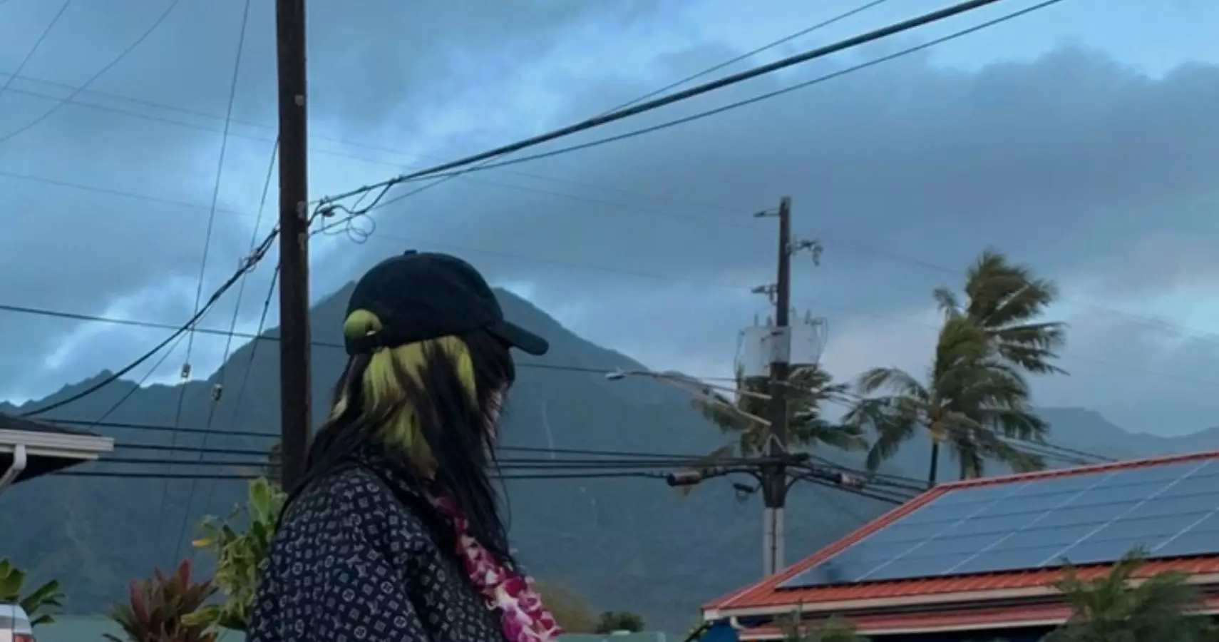 Billie Eilish ၏ Hawaii အားလပ်ရက်မှ အံ့သြဖွယ်ကောင်းသော ဓာတ်ပုံ ၁၀ ပုံ 1050_2