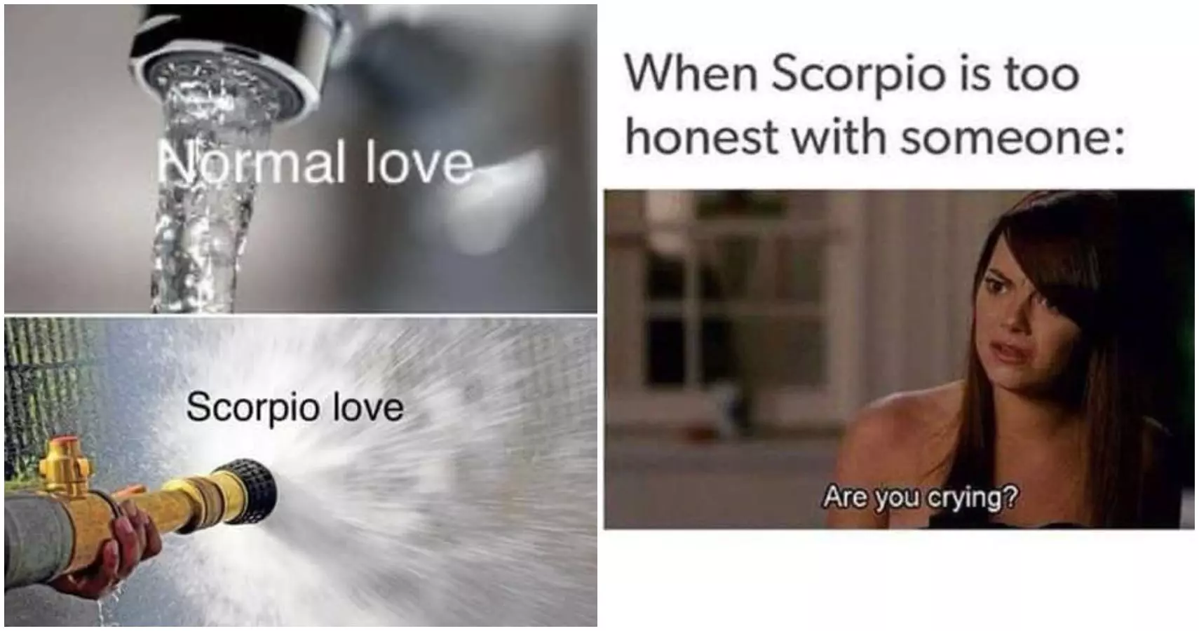 10 Mafi Amintattun Memes Ga Mutanen da ke Haɗu da Scorpio 1816_0