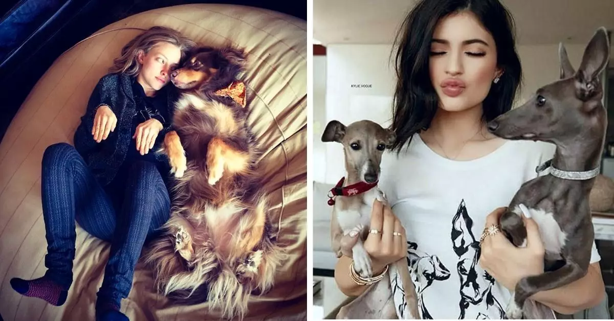 Justin Bieber Jeung 20 Selebritis lianna Anu BENER bogoh ka anjing maranéhanana 2804_0