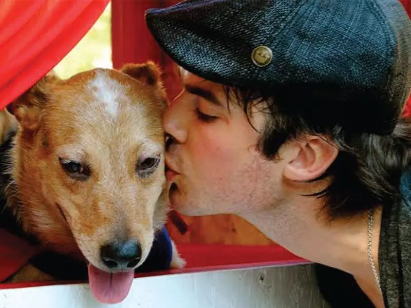 15 hechos sobre Ian Somerhalder que lo hacen aún más soñador 2834_8