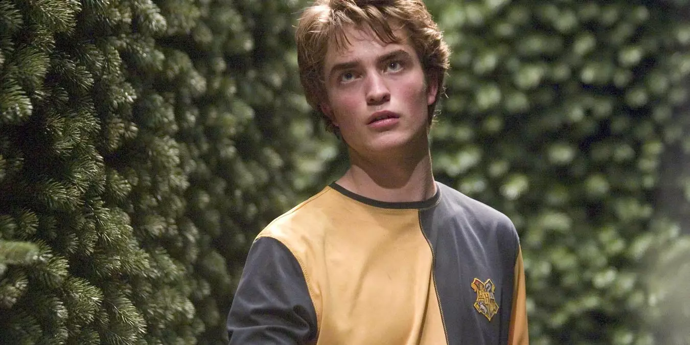 10 personatges de Harry Potter que representen els trets de la Verge 3404_7