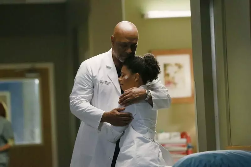 I-Grays Anatomy: Imibuzo engu-20 Abalandeli Basenayo Mayelana Nombukiso 4086_22