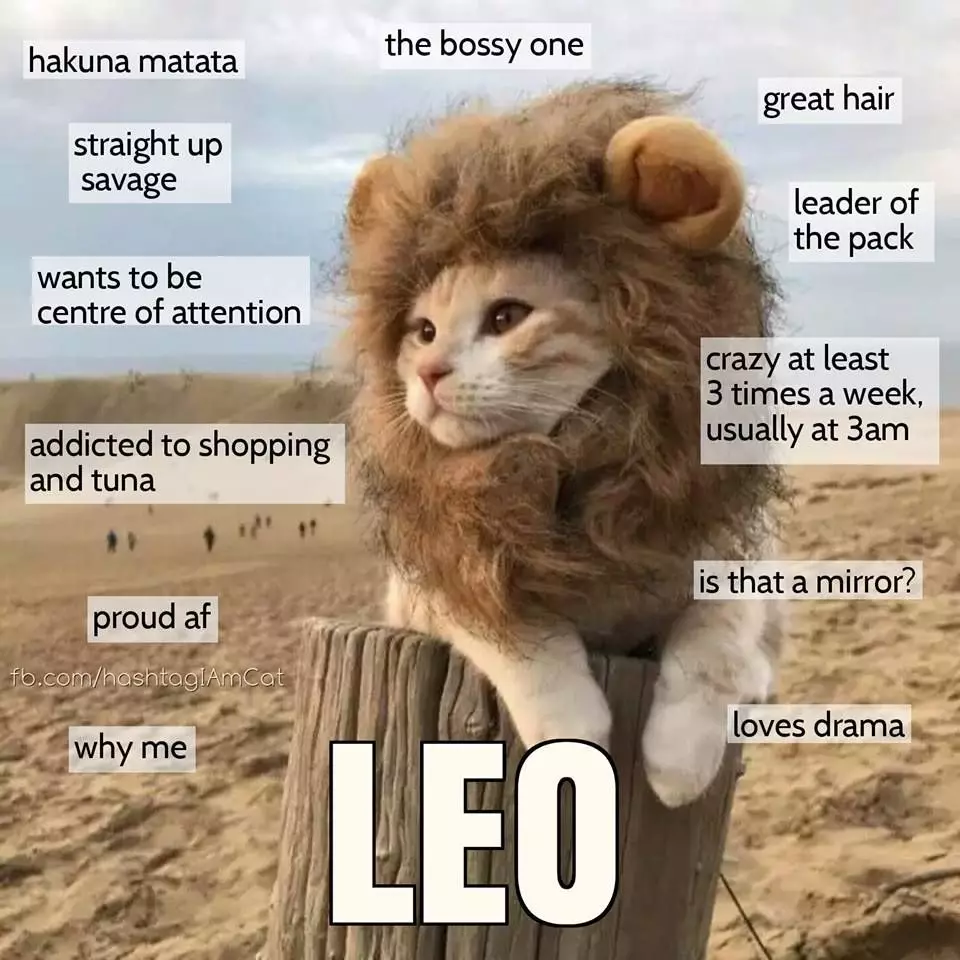 10 Memes Paling Relatable Kanggo Wong Dating Leo 4450_10