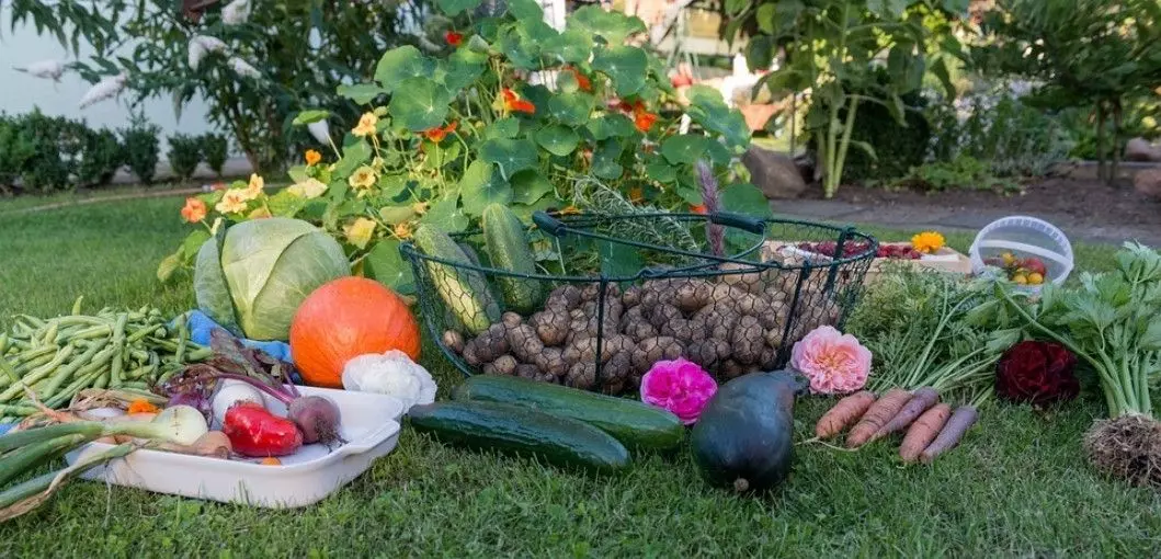 Zrób to sam na 20 zdjęciach krok po kroku: jak założyć mały i prosty ogród organiczny 4475_20