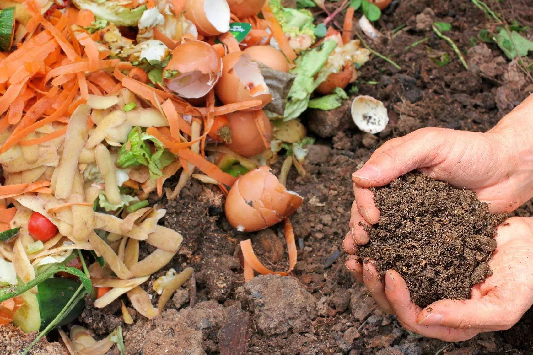 Zrób to sam na 20 zdjęciach krok po kroku: jak założyć mały i prosty ogród organiczny 4475_6