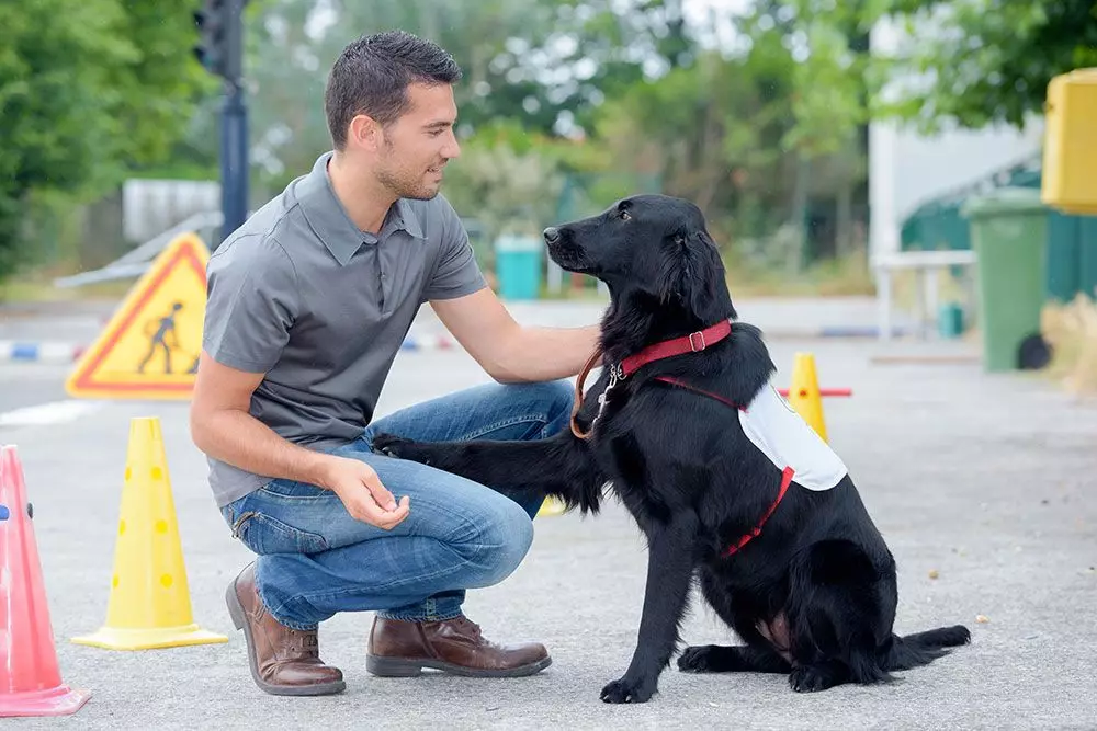 10 poklicev, ki jih mora upoštevati vsak požarni znak 5531_5