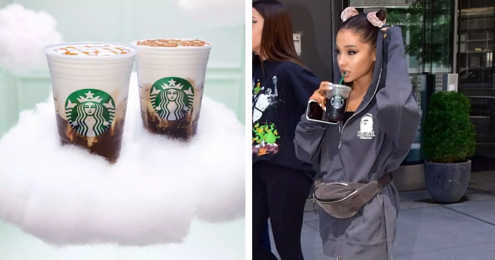 Ariana Grande ផ្ទុះការរិះគន់ថាជា 'Fake Vegan'.com 7365_0